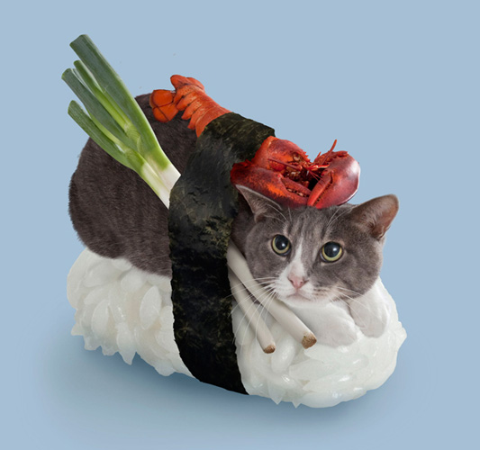 Move Over Lil Bub Sushi Cats Are Everything First We Feast