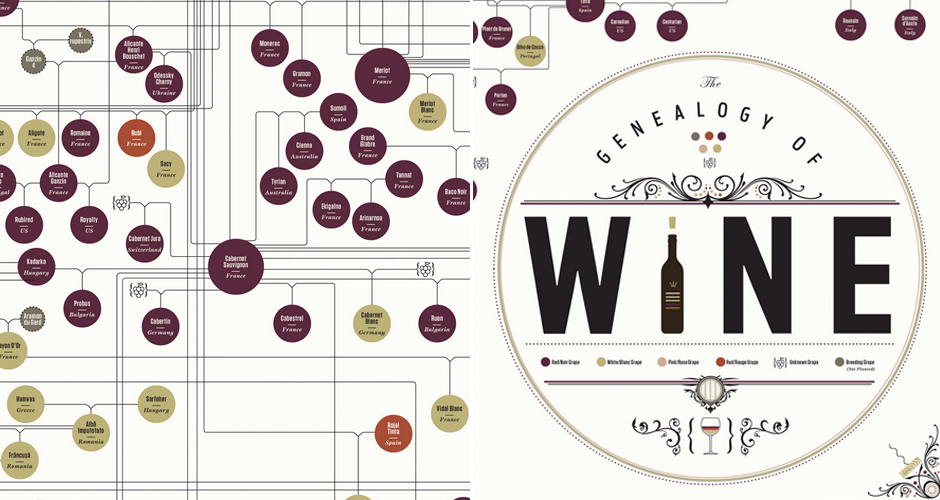 Pop Chart Lab Maps the Connection Between Every Major Variety of Grape ...